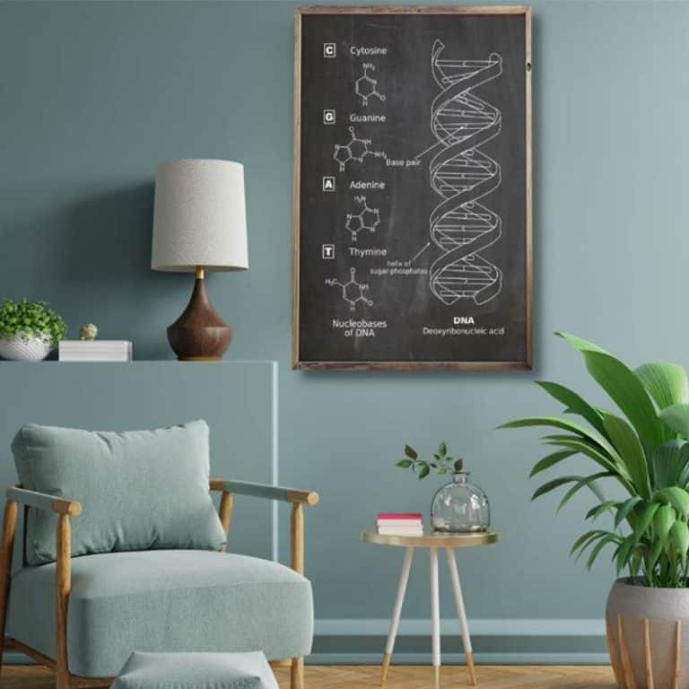 DNA-Poster | Science Labs
